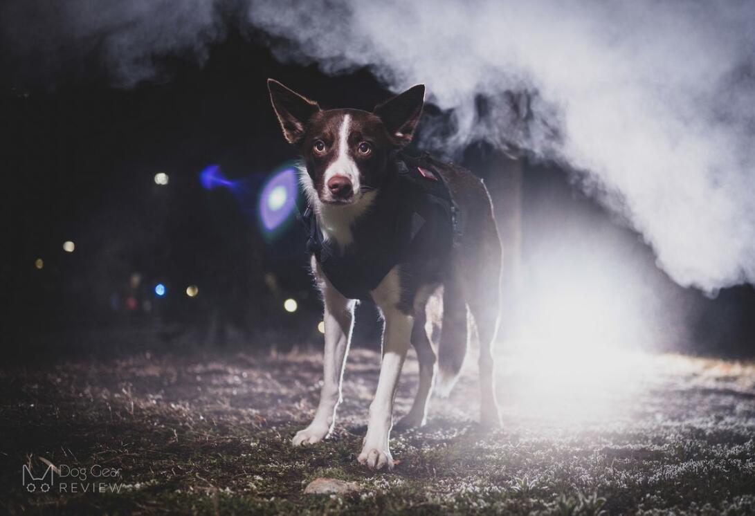 ONETIGRIS FIRE WATCHER HARNESS – ONETIGRIS DOG GEAR