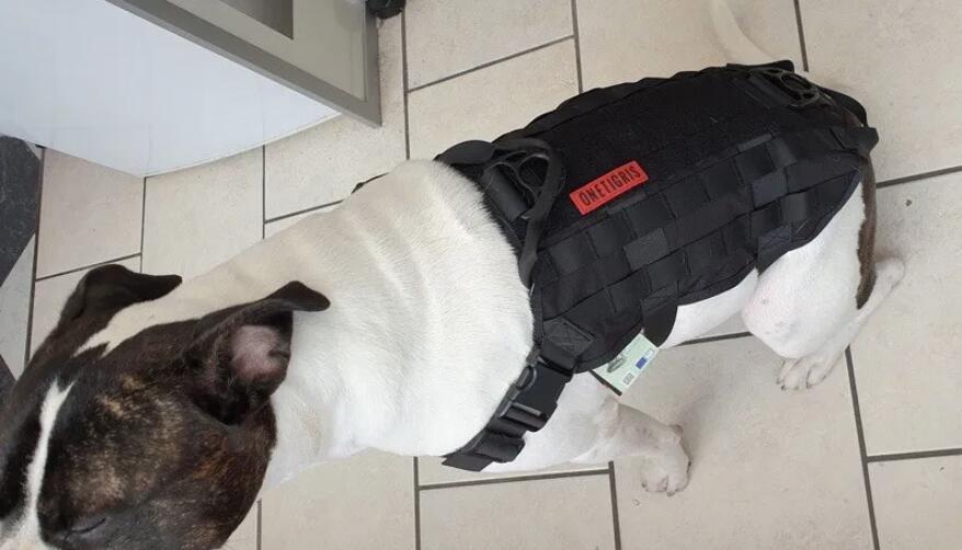 "POWER ROCKET" K9 HARNESS REVIEW – ONETIGRIS DOG GEAR