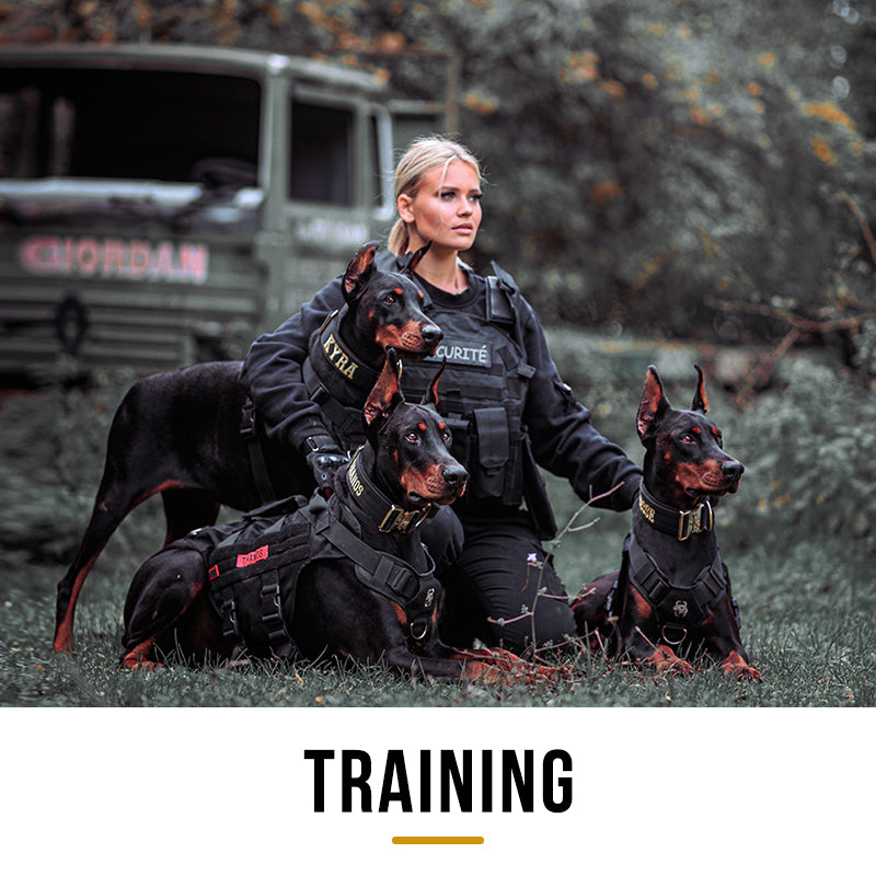 Training – ONETIGRIS DOG GEAR