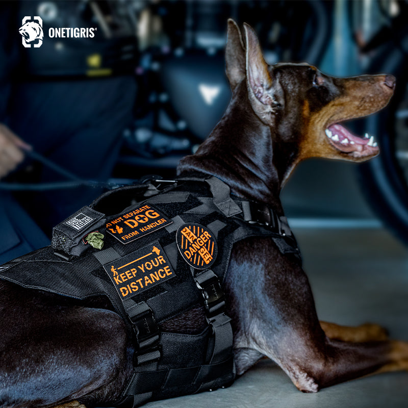 X ARMOR Tactical Dog Harness – Heavy Duty K9 Tactical Dog Vest ...
