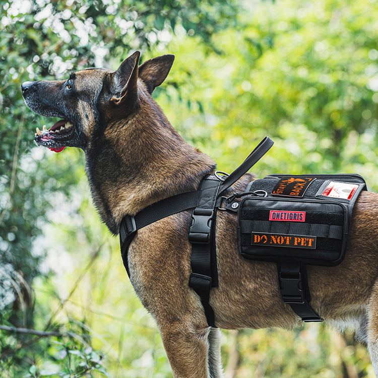 Guardian Service & No‑Pull Dog Harness with Handle & MOLLE Pouches ...