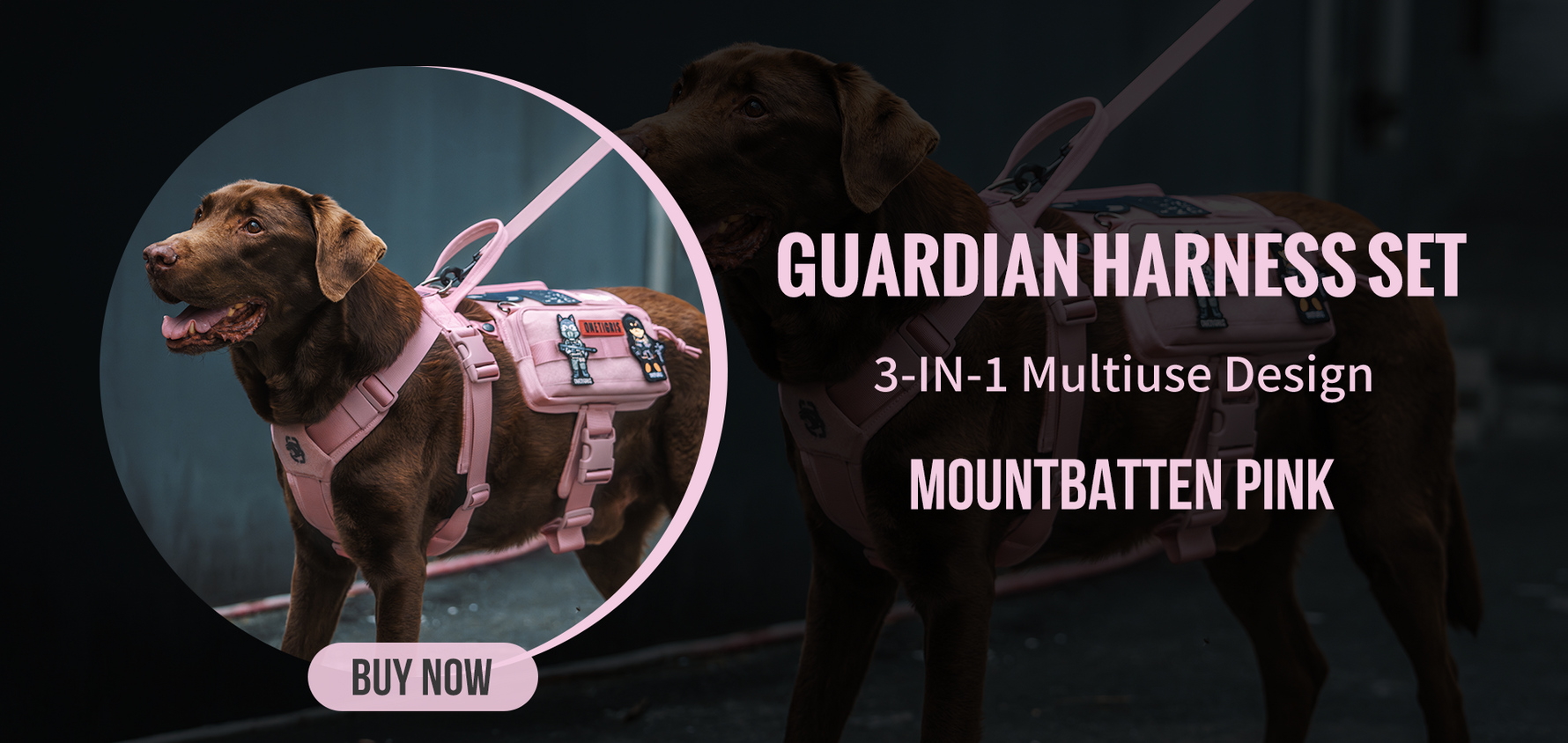 ONETIGRIS DOG GEAR
