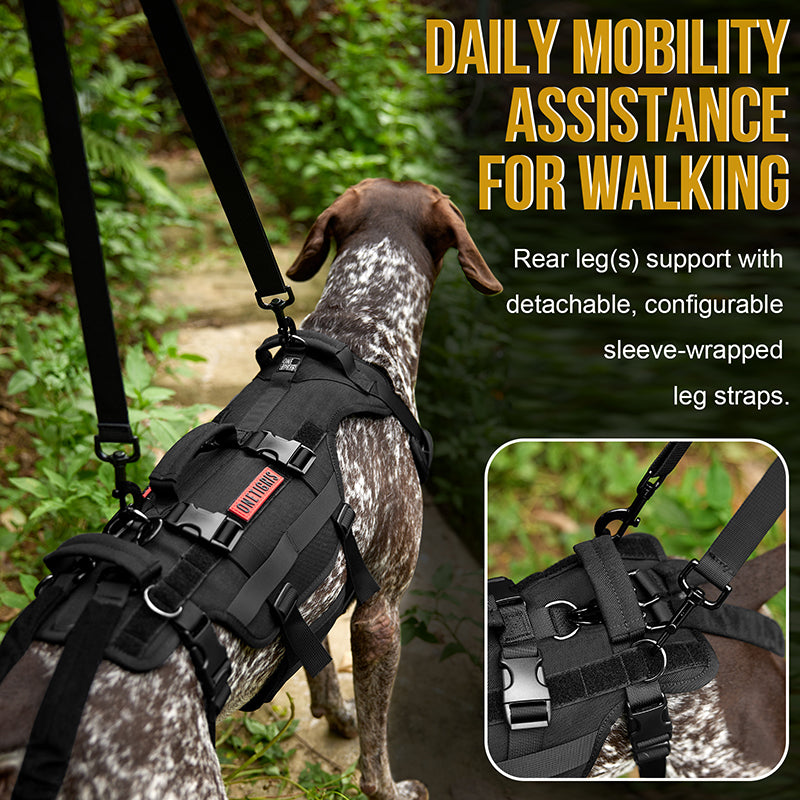 INVICTUS Full Body Dog Lift Harness | OneTigris – ONETIGRIS DOG GEAR