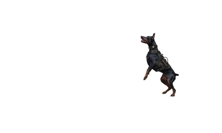 ONETIGRIS DOG GEAR