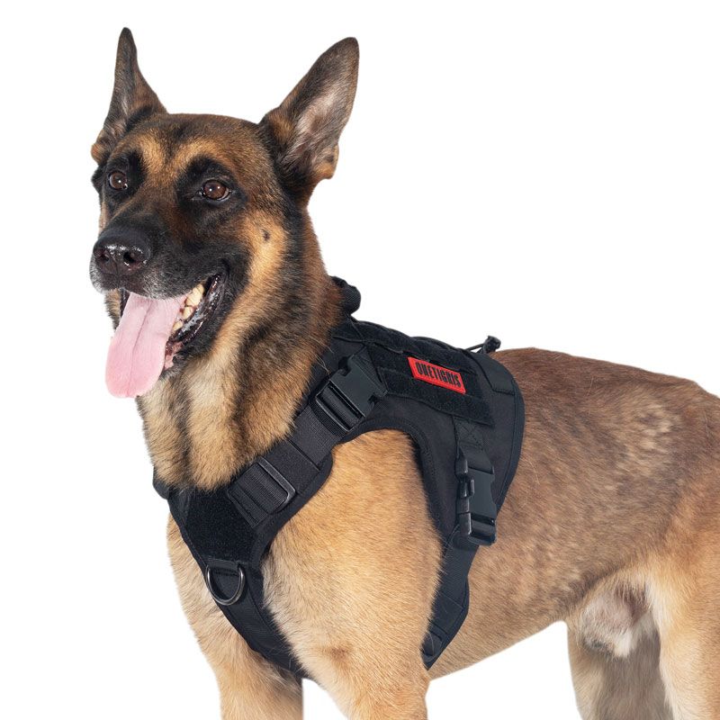 Heavy-Duty Tactical Dog Harness | Quick-Release & MOLLE Ready ...